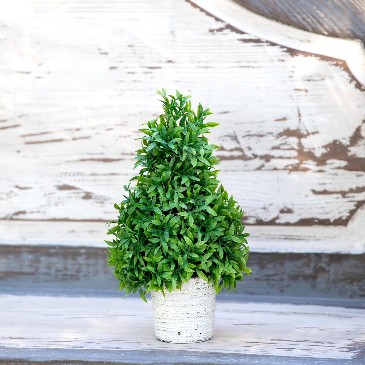 Mountain Savory Cone Topiary – Boone and Bounty